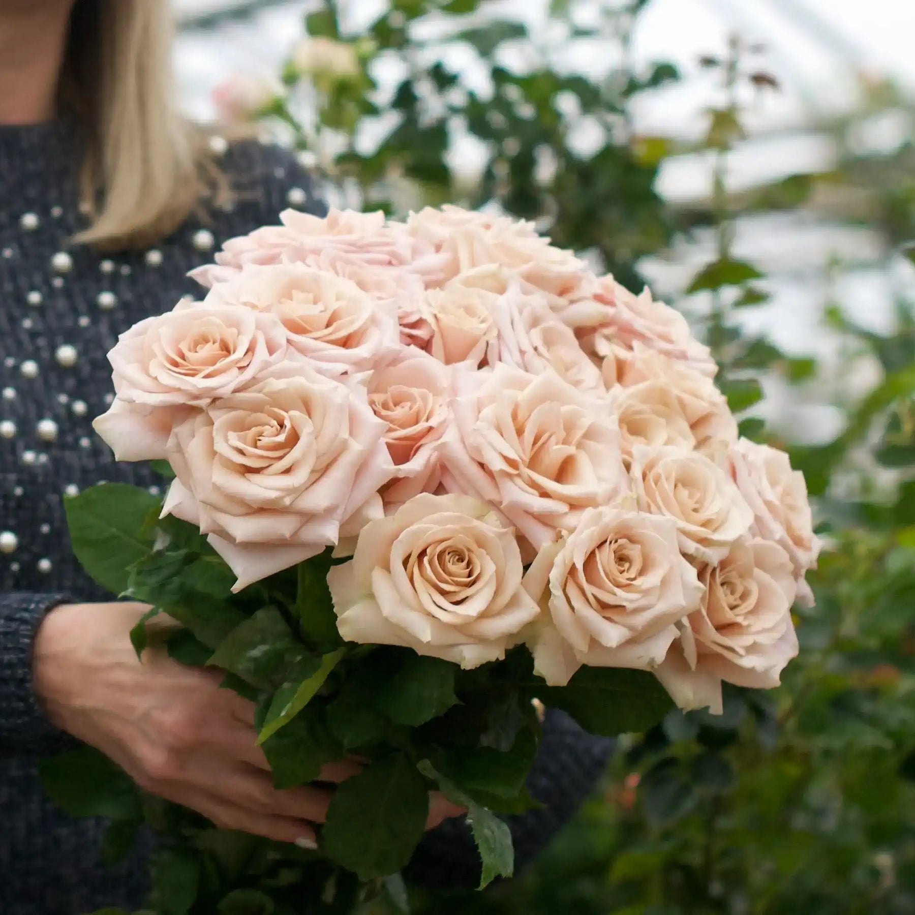Quicksand® Pastel Pink & Soft Lavendar Rose | April & Ashley