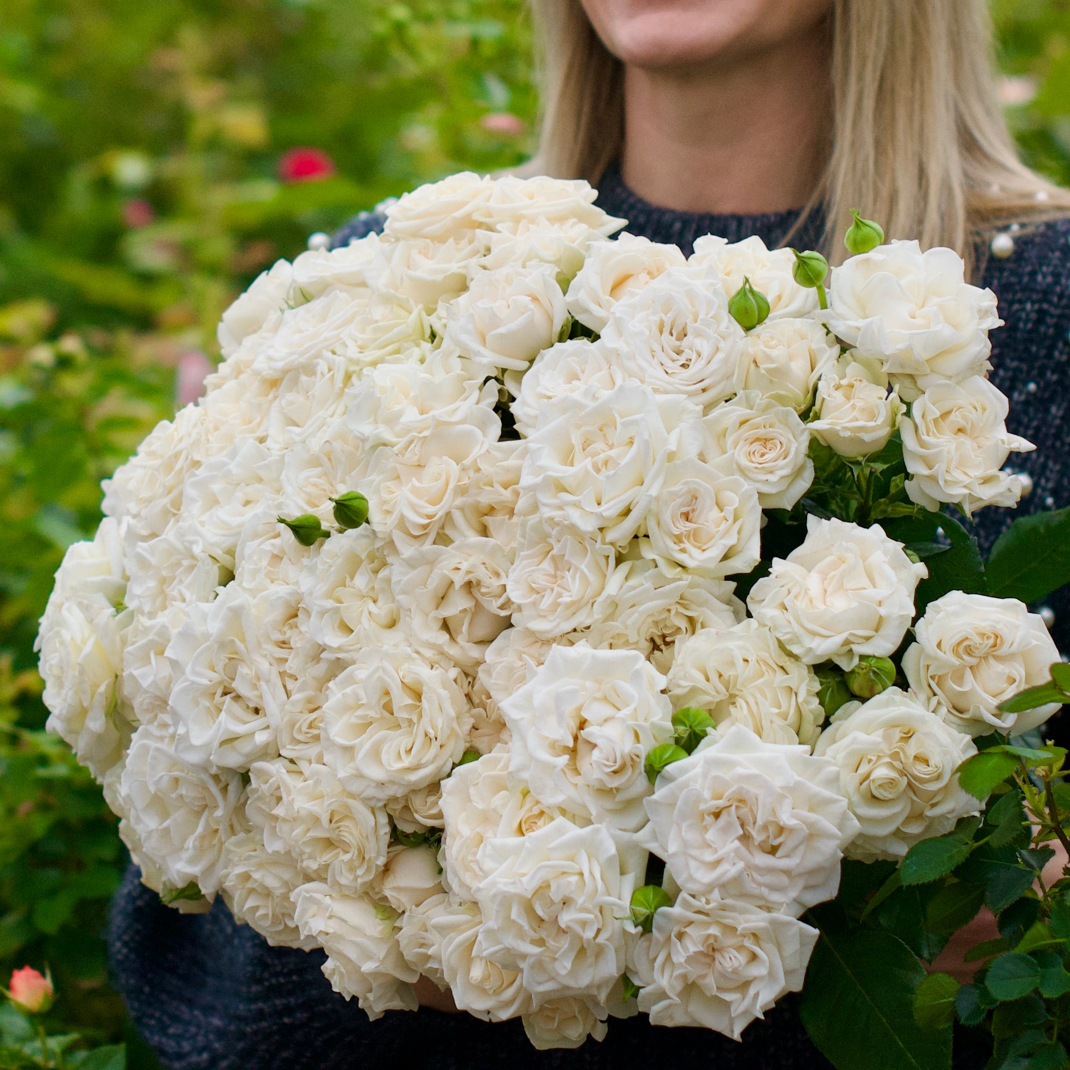 Ivory Flow™ Creamy White Rose | April & Ashley