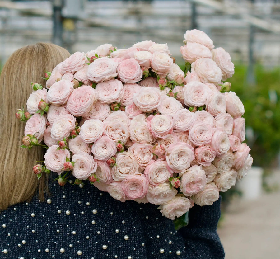 Nynke™ Ballet Pink Rose | April & Ashley