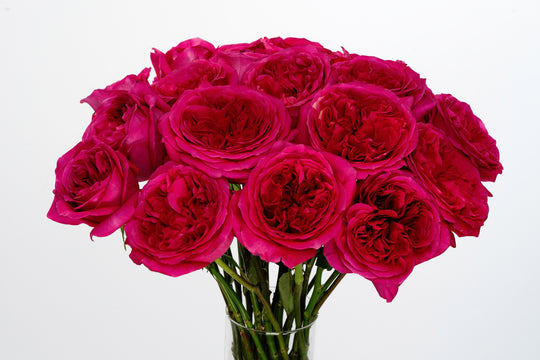 Buy Rose Bouquets: Large, Luxurious, Fragrant | April & Ashley