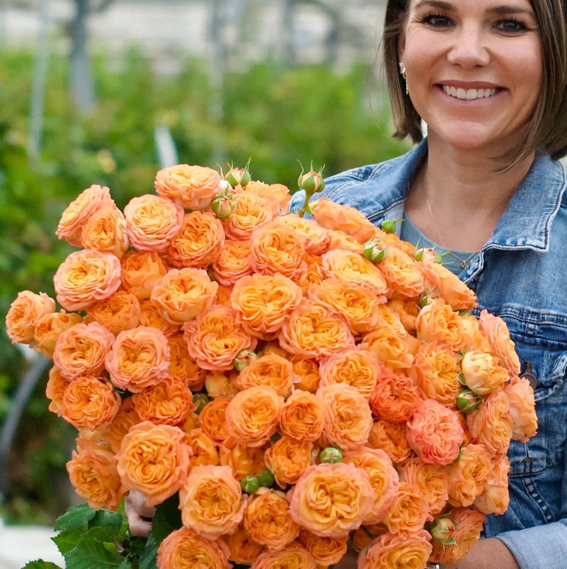Orange Trendsetter™ Vibrant Orange Rose | April & Ashley