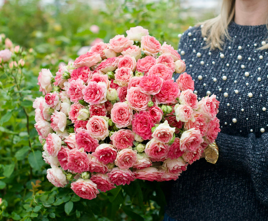 Perky Parasol™ Pale Green & Bright Pink Rose | April & Ashley